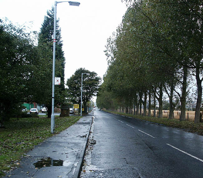 Looking north west along the road through Ryton Haugh, where much of ...