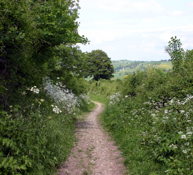 Lane ascending east side of Lansdown Hill (NGR: 372734,170162)